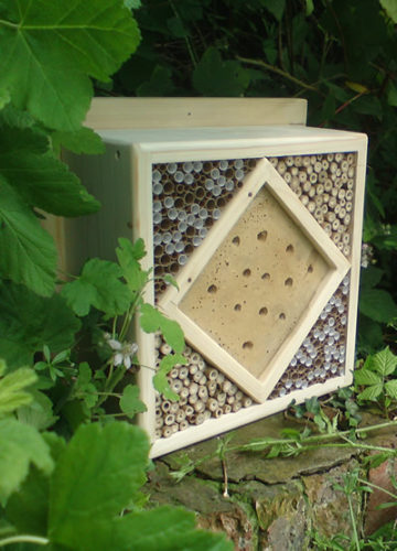Habitats at Home – Bug boxes for smaller spaces - Insect Week