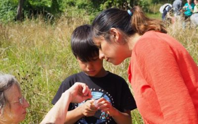 22 - 28 June 2026 - Insect Week