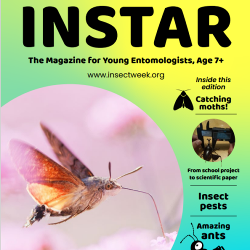 INSTAR - Issue 4 out now - Insect Week