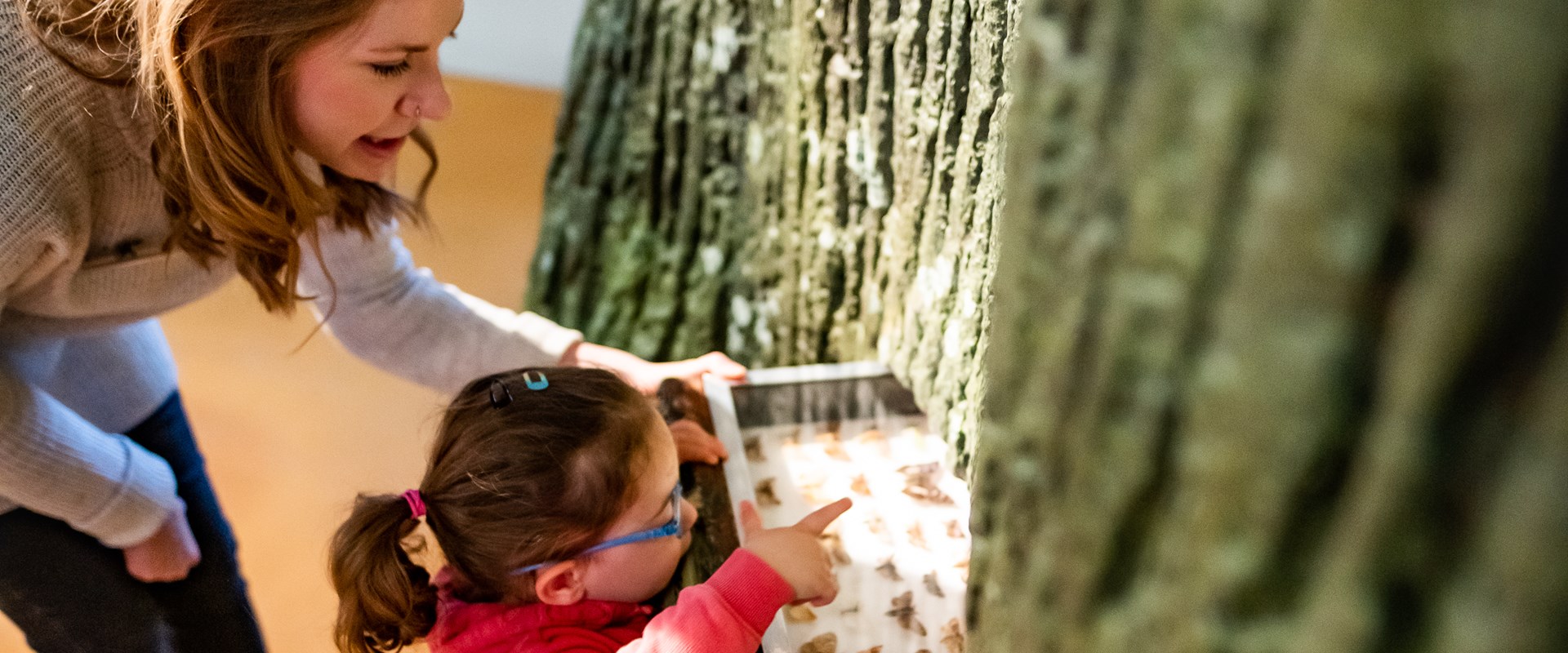 Marvelous Moths - Insect Week