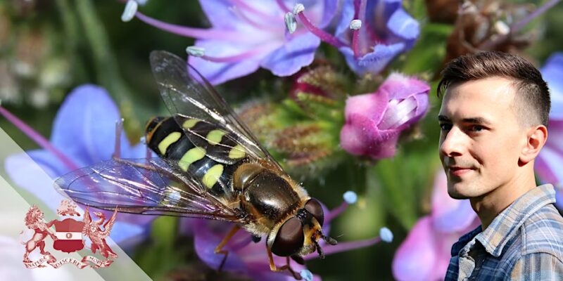 Discovering Insects – A Guided Walk Through Wandsworth Common with Connor Butler