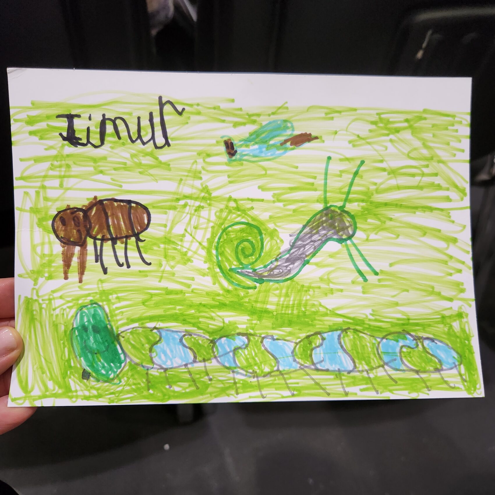 2023 Art Competition Winners - Insect Week
