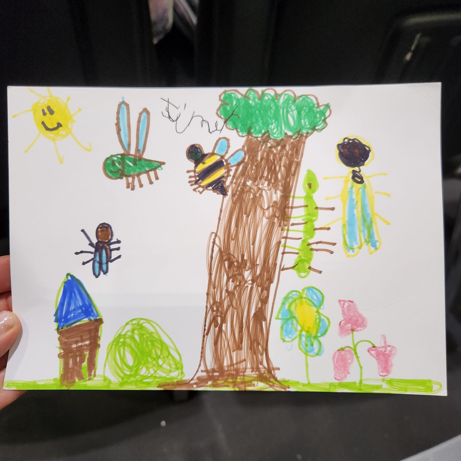 2023 Art Competition Winners - Insect Week