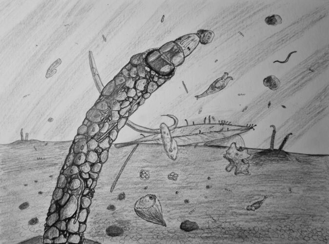 2023 Art Competition Winners - Insect Week