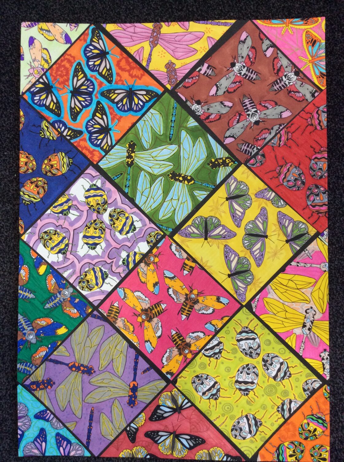 2023 Art Competition Winners - Insect Week