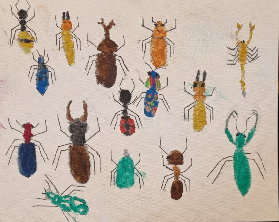 2023 Art Competition Winners - Insect Week