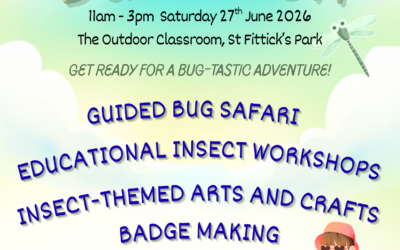 Aberdeen Insect Week - The Big Bug Bash - Insect Week