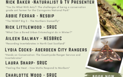 Aberdeen Insect Week - Stand Tall for the Small, a day of live ento ...