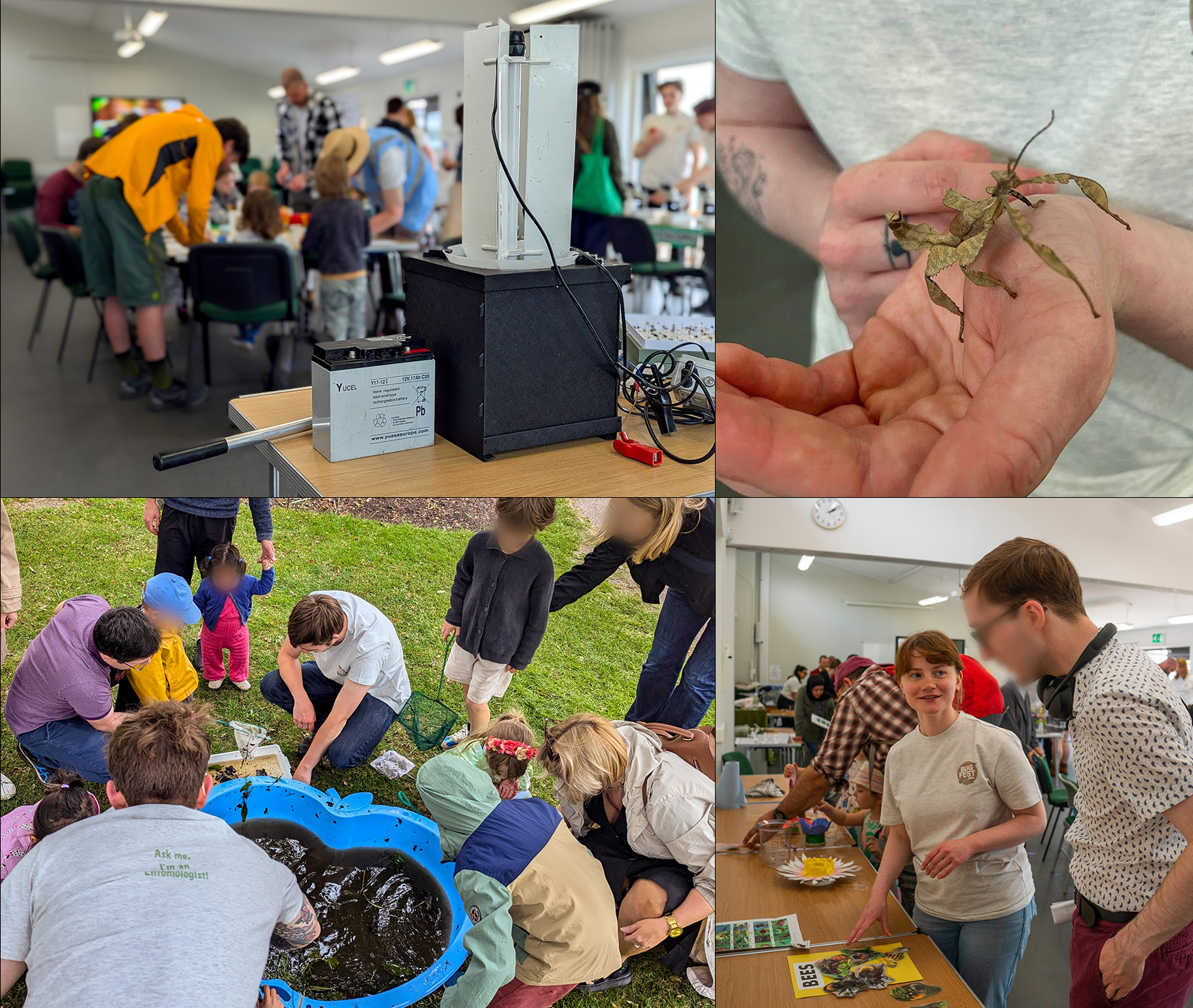 Sheffield Bug Fest - Insect Week