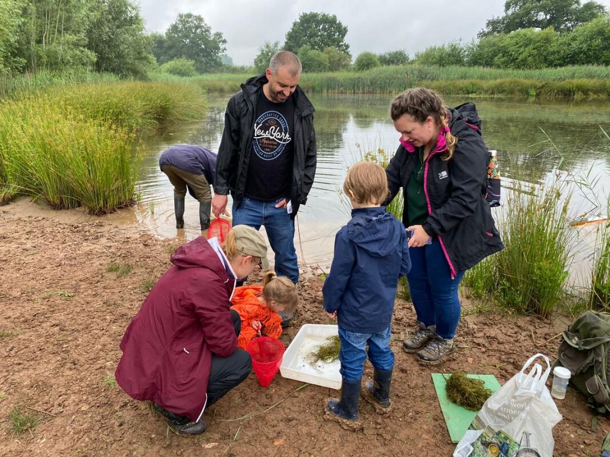 Morning Pond Survey in the Heart of England Forest - BioBlitz 2023 ...