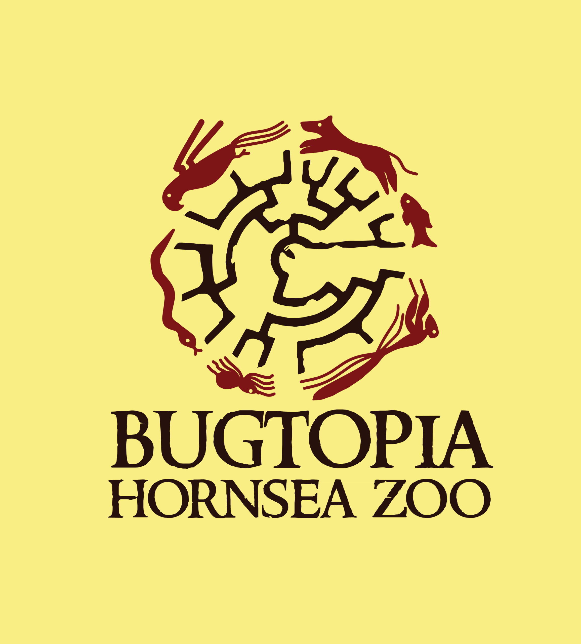 Insect Week at Bugtopia Hornsea Zoo - Insect Week