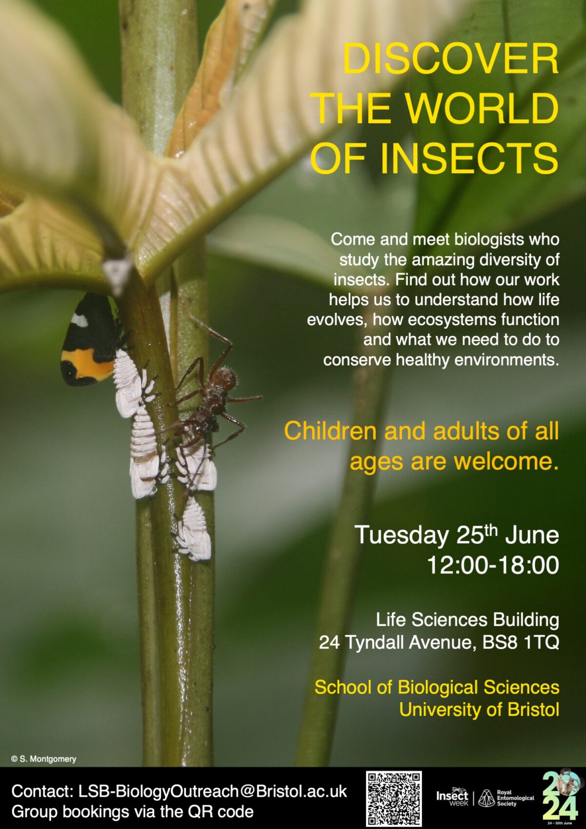 Discover the world of insects! - Insect Week
