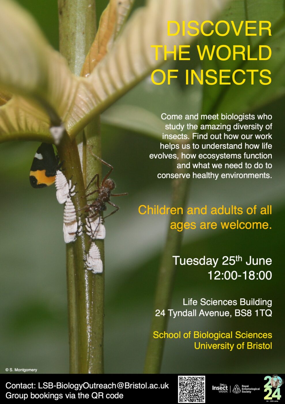 Discover the world of insects! - Insect Week