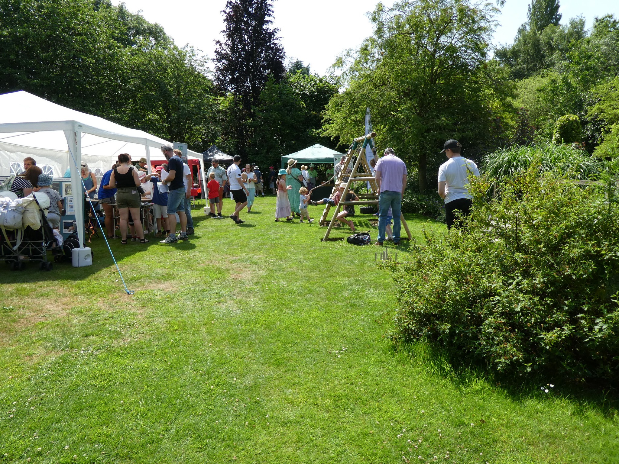 Family Wildlife Day - Insect Week
